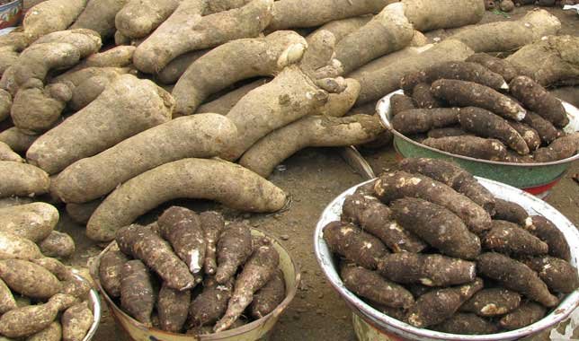 Ventes flash | MkTOTO AGRO INDUSTRIES